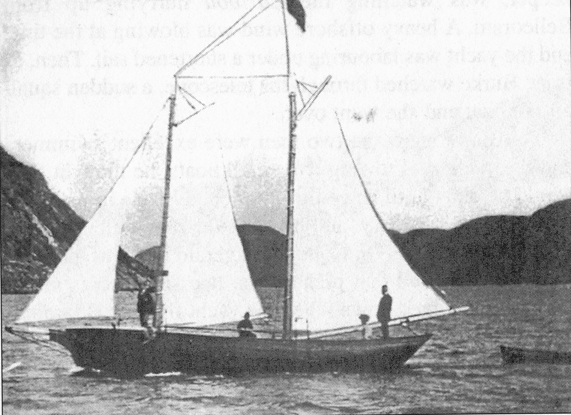 The Albatross © Alex Hickey, 2023 | All Things St. Jacques, NL