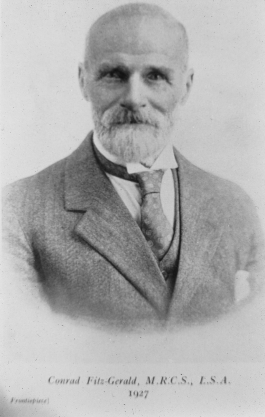 The Albatross © Alex Hickey, 2023 | All Things St. Jacques, NL